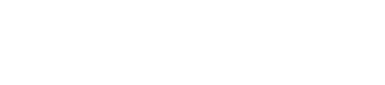 Proficiency Levels | Berlitz Orlando